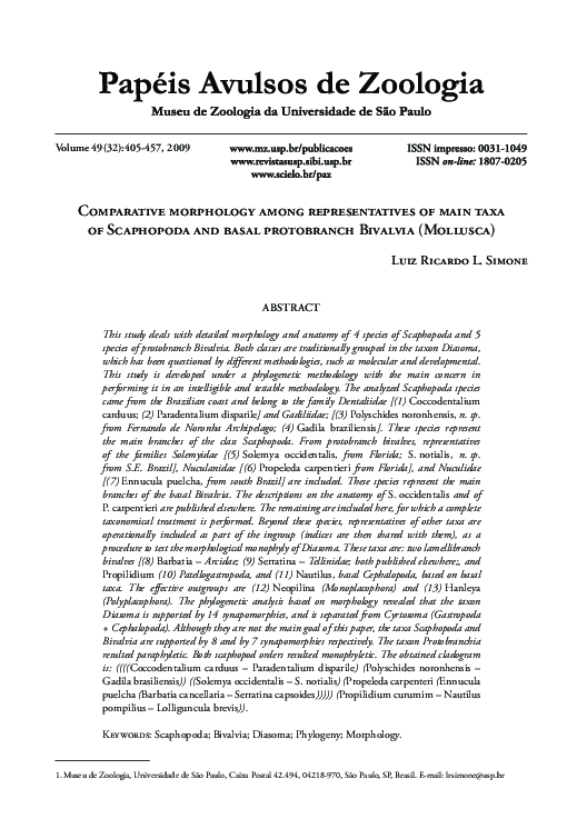(PDF) Comparative morphology among representatives of main taxa of ...