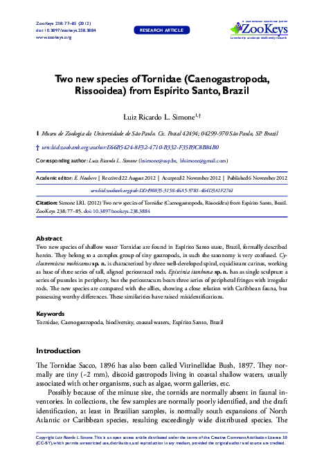 (PDF) Two new species of Tornidae (Caenogastropoda, Rissooidea) from Espírito Santo, Brazil ...