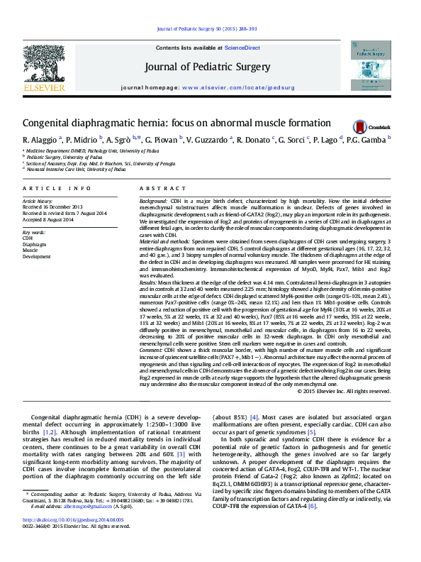 (PDF) Congenital diaphragmatic hernia: focus on abnormal muscle formation