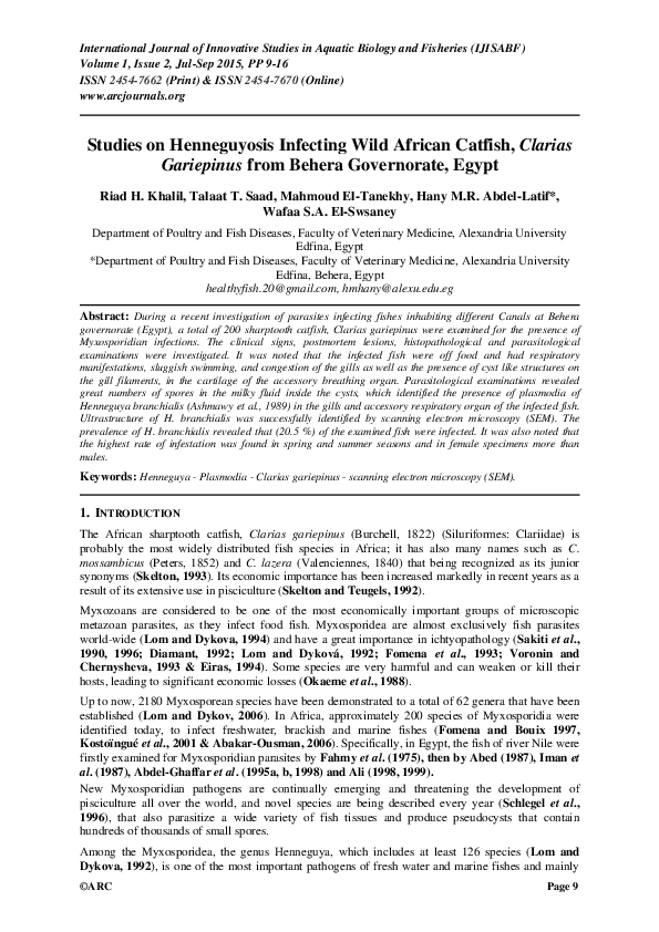 (PDF) Studies on Henneguyosis Infecting Wild African Catfish ...