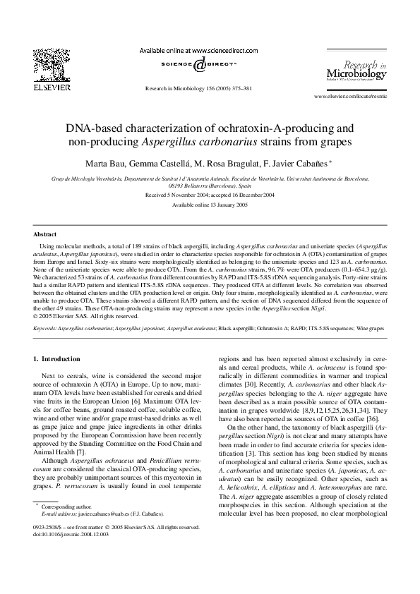 (PDF) DNA-based characterization of ochratoxin-A-producing and non ...