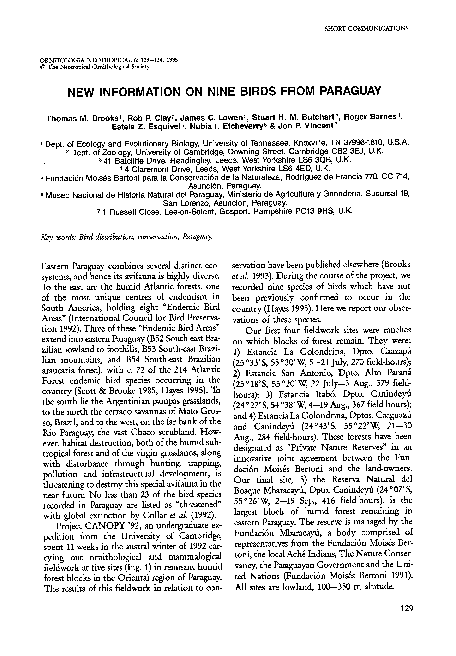 (PDF) @ The Neotropical Ornithological Society NEW INFORMATION ON NINE ...