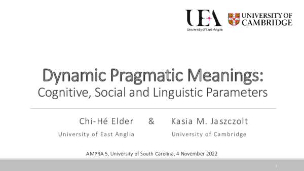 (PDF) Dynamic Pragmatic Meanings: Cognitive, Social and Linguistic ...
