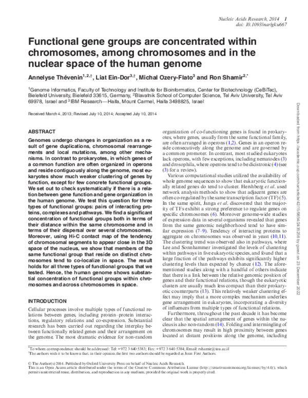 (PDF) Functional gene groups are concentrated within chromosomes, among ...