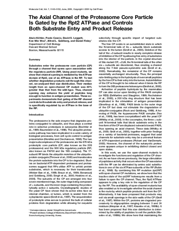 (PDF) Rpt2 ATPase Gating in Proteasome Core Channel
