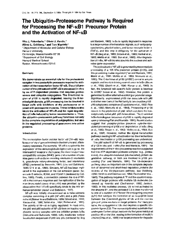 (PDF) The ubiquitinproteasome pathway is required for processing the NF ...