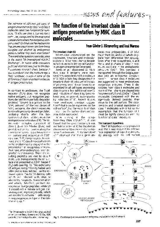 (PDF) The function of the invariant chain in antigen presentation by ...