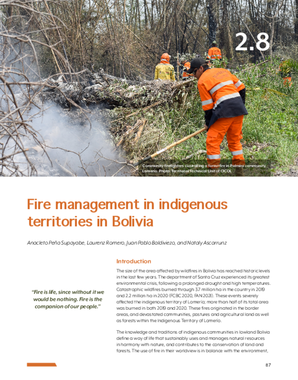 (PDF) Fire management in indigenous territories in Bolivia