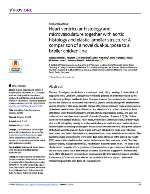 (PDF) Cardiovascular Structures in Dual-Purpose Chickens
