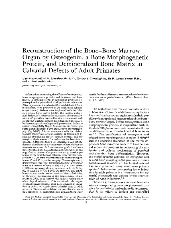 (PDF) Reconstruction of the Bone-Bone Marrow Organ by Osteogenin, a ...