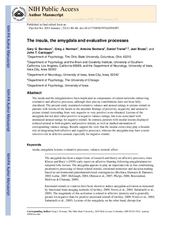 (PDF) The Insula and Evaluative Processes