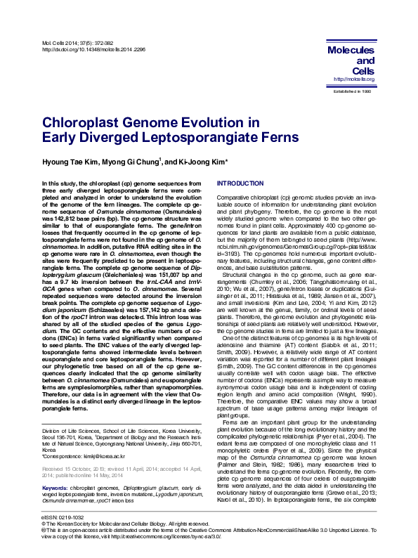 (PDF) Chloroplast Genome Evolution in Early Diverged Leptosporangiate Ferns