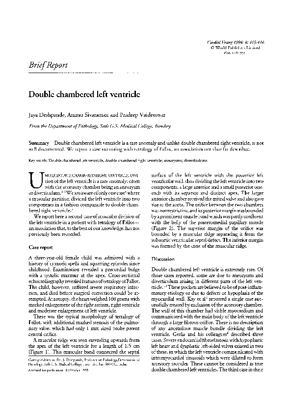 (PDF) Double chambered left ventricle