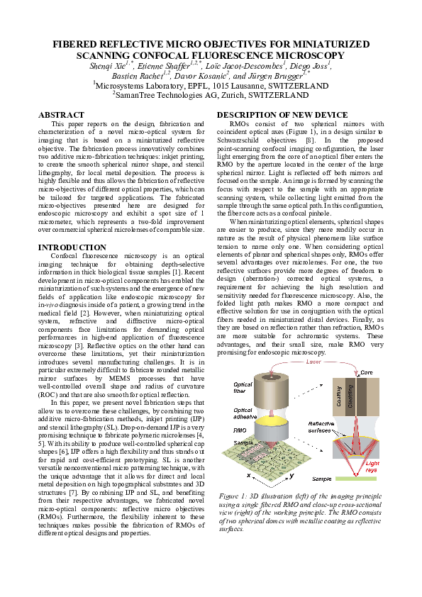 (PDF) Fibered reflective micro objectives for miniaturized scanning ...