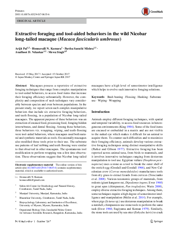 (PDF) Extractive foraging and tool-aided behaviors in the wild Nicobar ...
