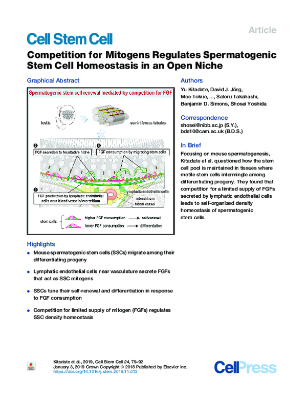 (PDF) Competition for Mitogens Regulates Spermatogenic Stem Cell ...