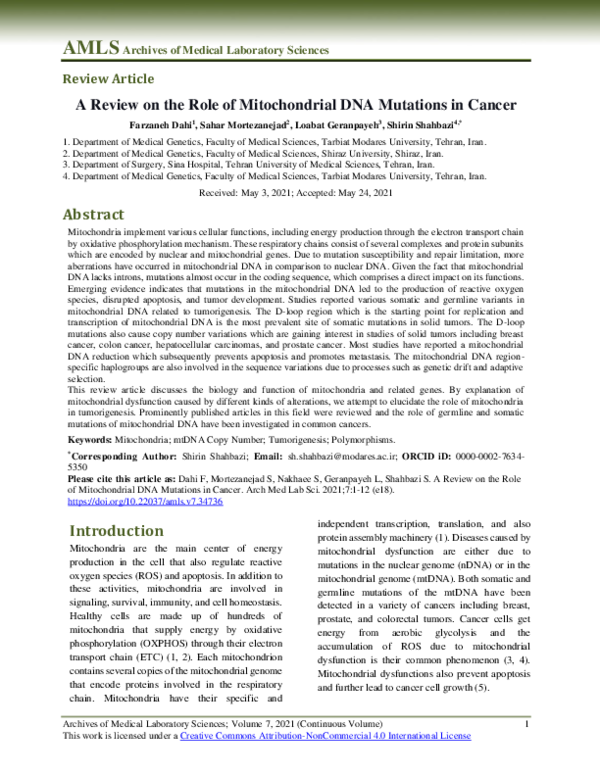 (PDF) A Review on the Role of Mitochondrial DNA Mutations in Cancer