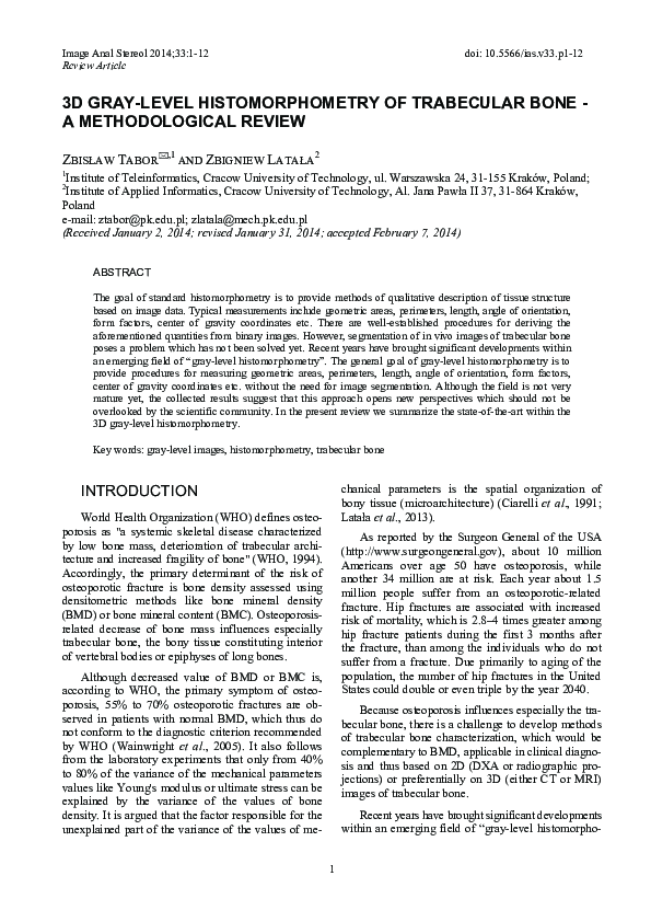 (PDF) 3D Gray-Level Histomorphometry of Trabecular Bone - a ...
