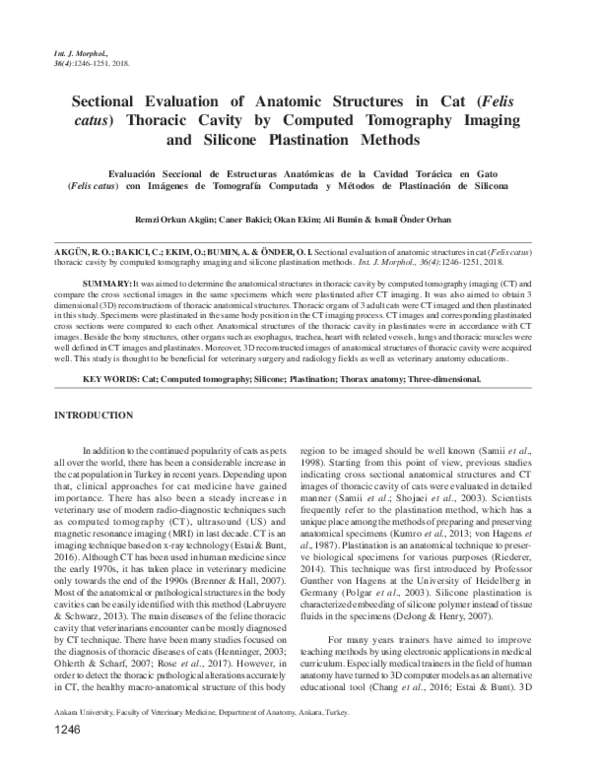 (PDF) Sectional Evaluation of Anatomic Structures in Cat (Felis catus ...