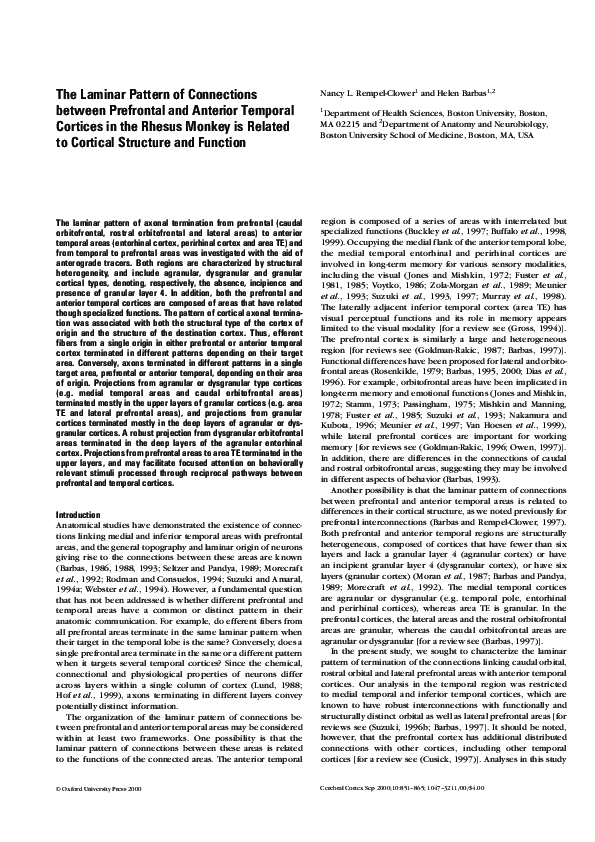 (PDF) The Laminar Pattern of Connections between Prefrontal and ...