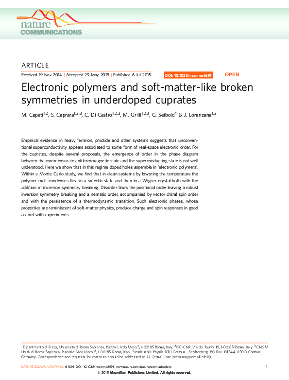 (PDF) Electronic polymers and soft-matter-like broken symmetries in ...