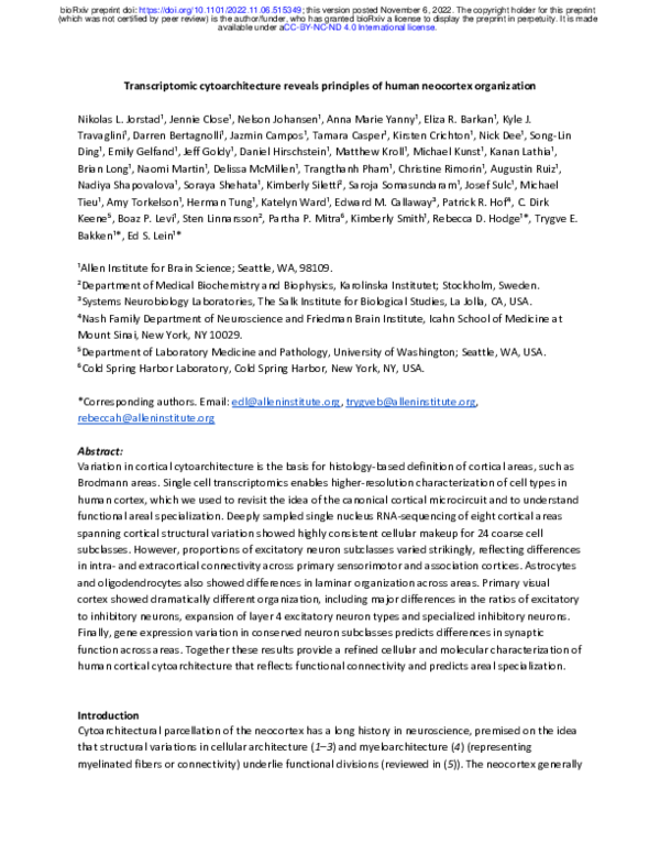 (PDF) Transcriptomic cytoarchitecture reveals principles of human neocortex organization