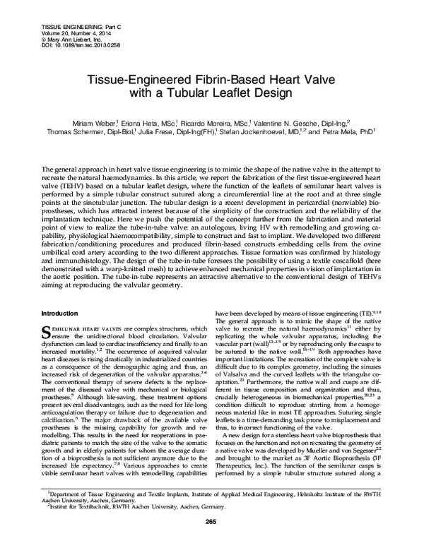 (PDF) Tissue-Engineered Fibrin-Based Heart Valve with a Tubular Leaflet ...