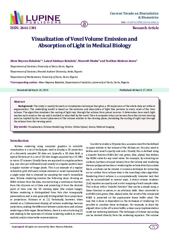 (PDF) Visualization of Voxel Volume Emission and Absorption of Light in ...