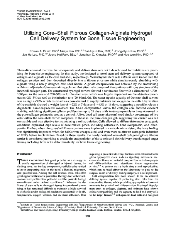 Pdf Utilizing Core Shell Fibrous Collagen Alginate Hydrogel Cell Delivery System For Bone