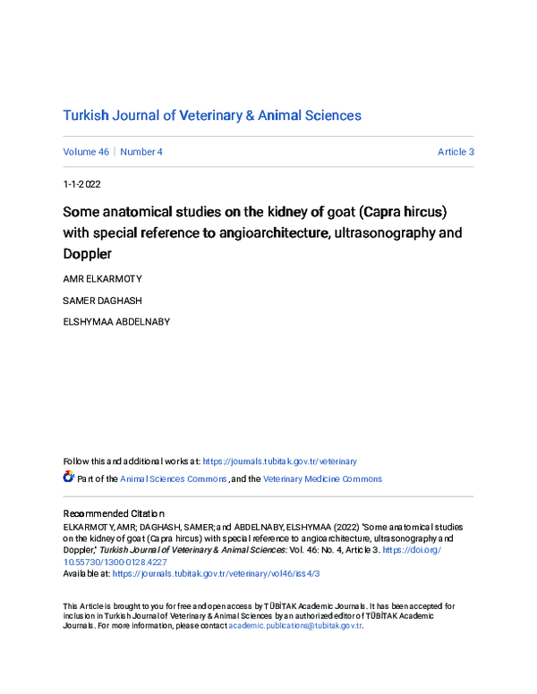 (PDF) Some anatomical studies on the kidney of goat (Capra hircus) with ...