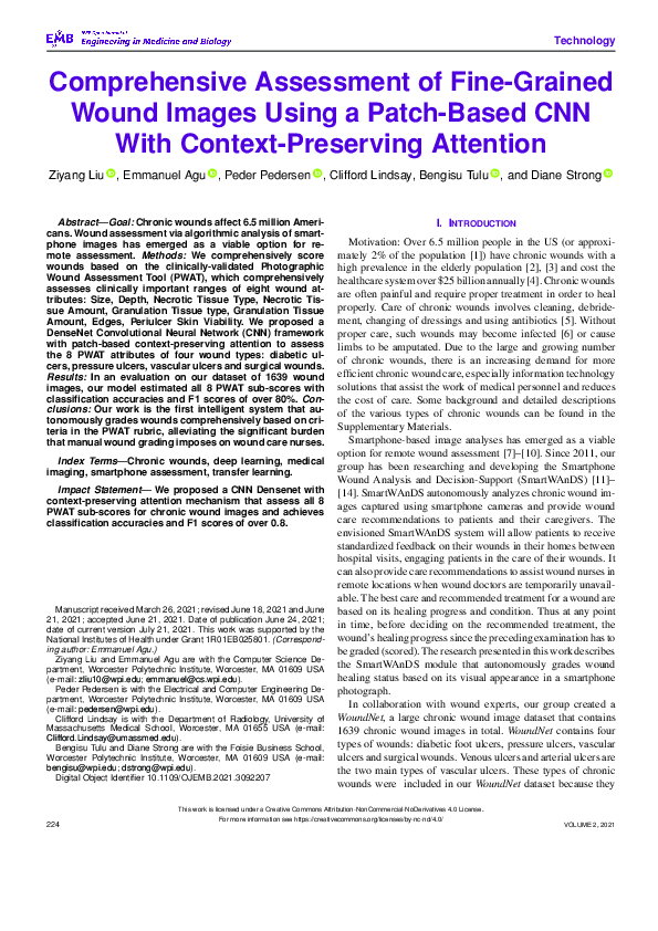 (PDF) Comprehensive Assessment of Fine-Grained Wound Images Using a Patch-Based CNN With Context ...