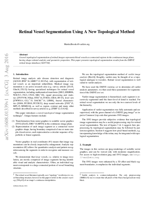 (PDF) Retinal Vessel Segmentation Using A New Topological Method