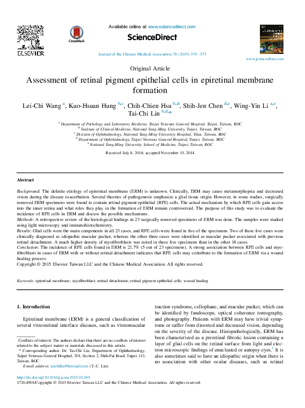 (PDF) Assessment of retinal pigment epithelial cells in epiretinal ...
