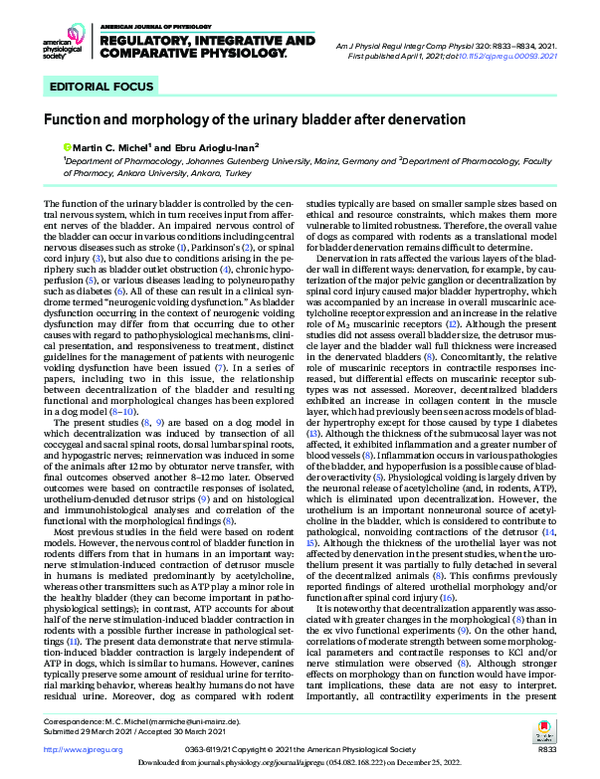 (PDF) Function and morphology of the urinary bladder after denervation