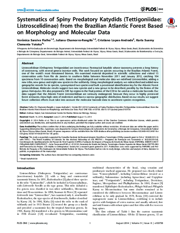 (PDF) Systematics of Spiny Predatory Katydids (Tettigoniidae ...