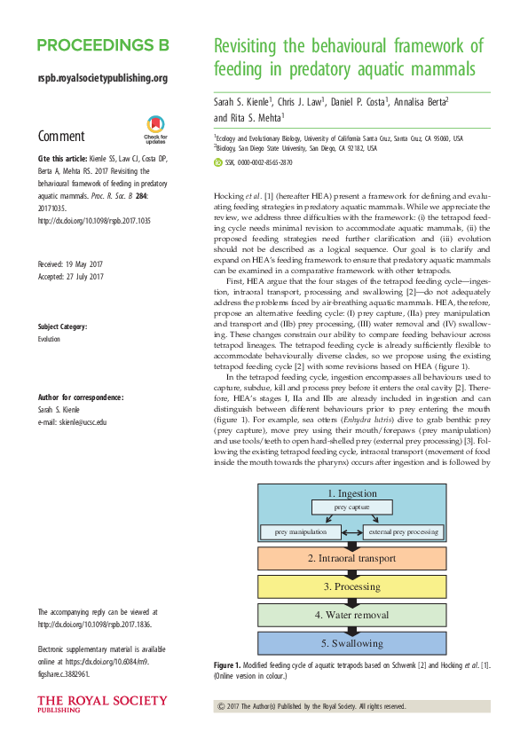 (PDF) Revisiting the behavioural framework of feeding in predatory aquatic mammals