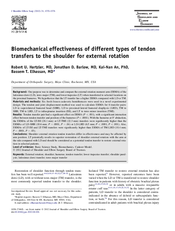 (PDF) Biomechanical effectiveness of different types of tendon ...
