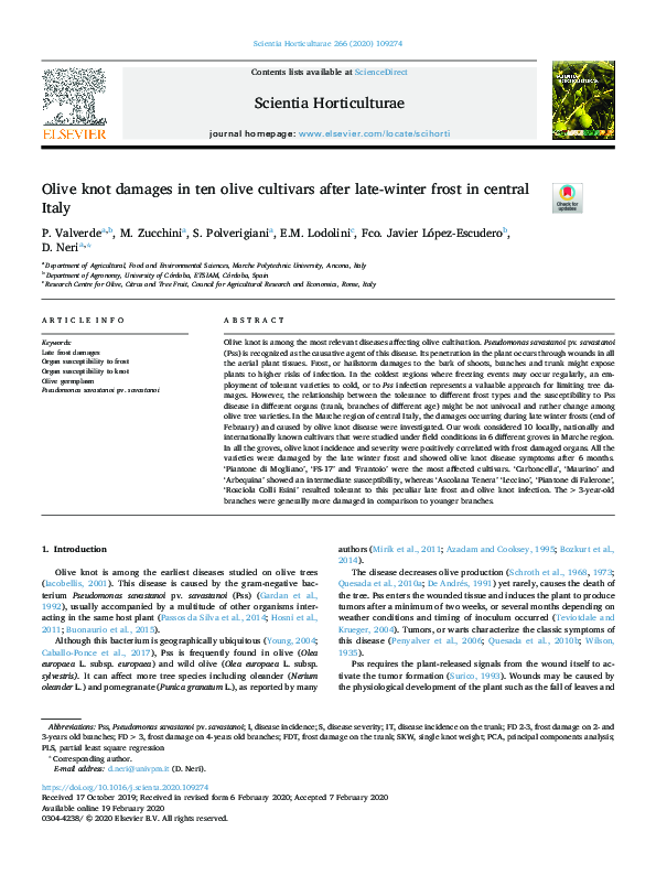 (PDF) Olive knot damages in ten olive cultivars after late-winter frost ...