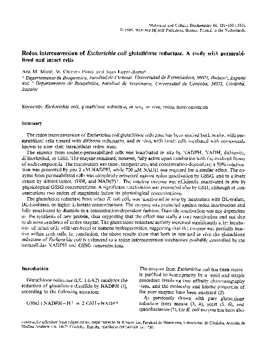 (PDF) Redox interconversion of Escherichia coli glutathione reductase ...
