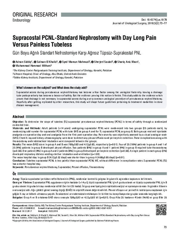 (PDF) Supracostal PCNL-Standard Nephrostomy with Day Long Pain Versus ...