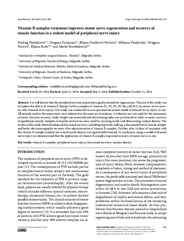 (PDF) Vitamin B complex treatment improves motor nerve regeneration and ...