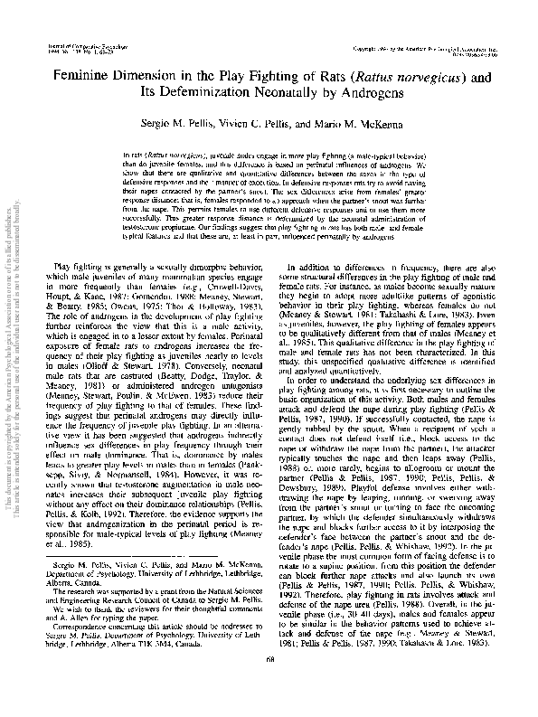 (PDF) Feminine dimension in the play fighting of rats (Rattus ...