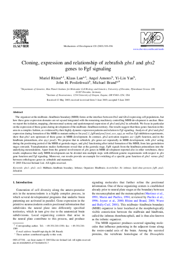 (PDF) Cloning, expression and relationship of zebrafish gbx1 and gbx2 ...