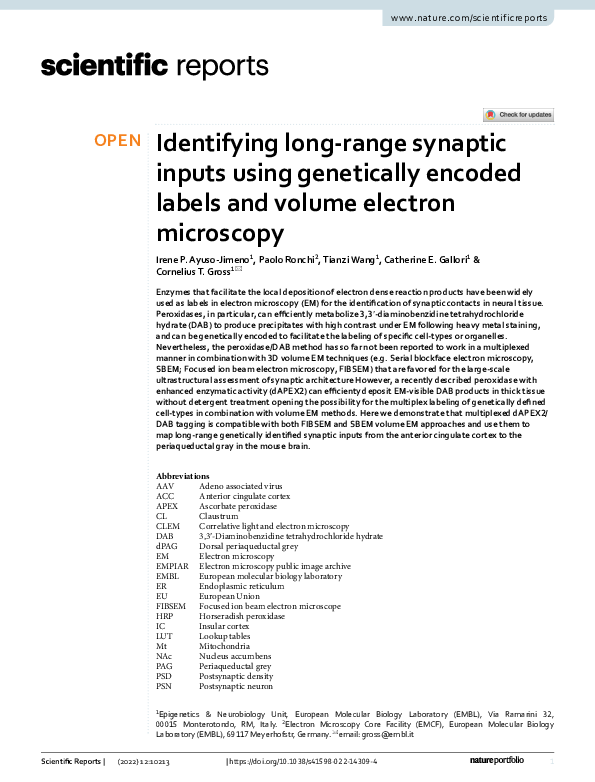 (PDF) Identifying long-range synaptic inputs using genetically encoded ...