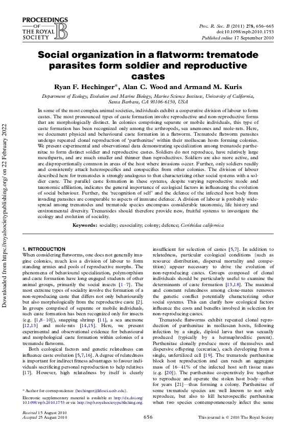 (PDF) Social organization in a flatworm: trematode parasites form ...