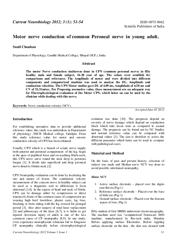 (PDF) Motor nerve conduction of common Peroneal nerve in young adult