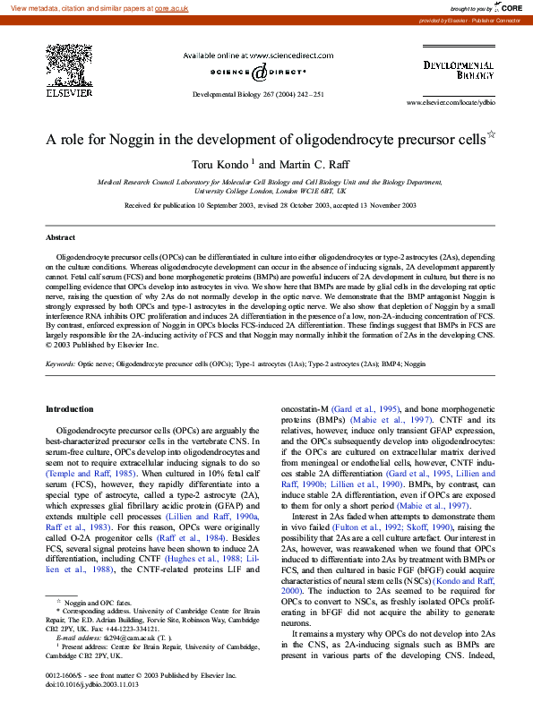 (PDF) A role for Noggin in the development of oligodendrocyte precursor ...