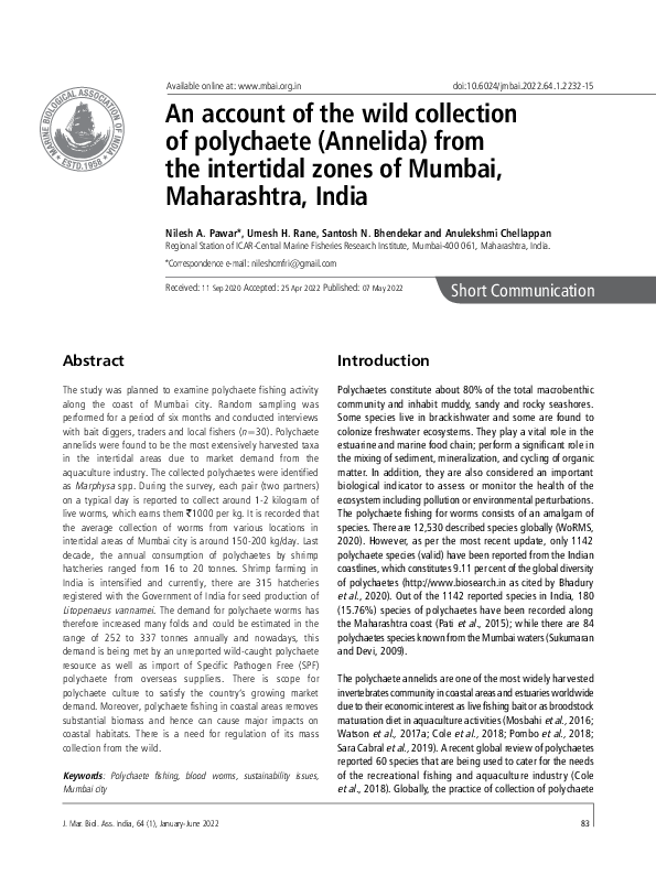 (PDF) An account of the wild collection of polychaete (Annelida) from ...