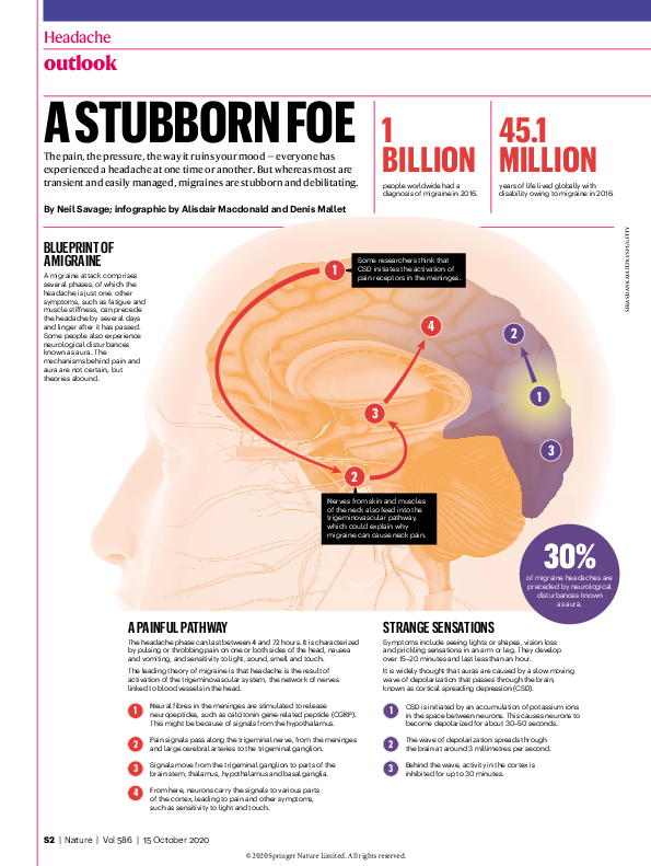 (PDF) A visual guide to migraine headaches