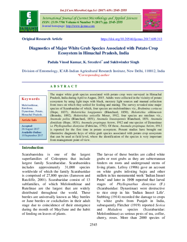 (PDF) Diagnostics of Major White Grub Species Associated with Potato ...
